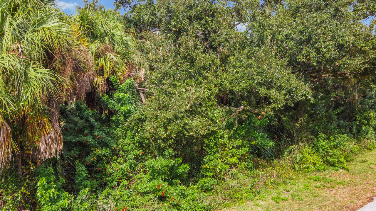 Geary Terrace, N Port, FL 34288 | Beycome™