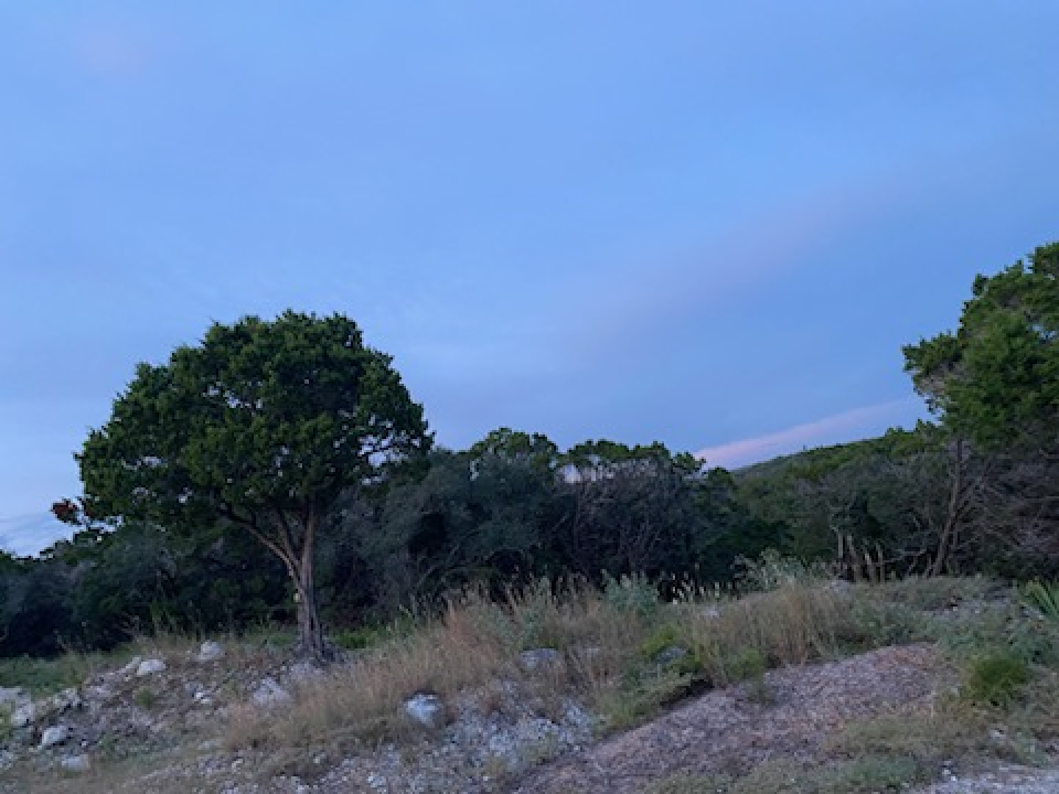 PR 1748, Mico, TX 78056 | Beycome™